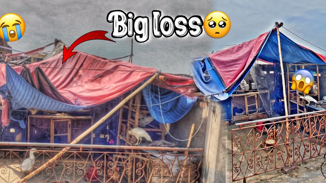 Tofan ki waja say Sara shed toot Gaya🥺||Big Loss😱|| - YouTube