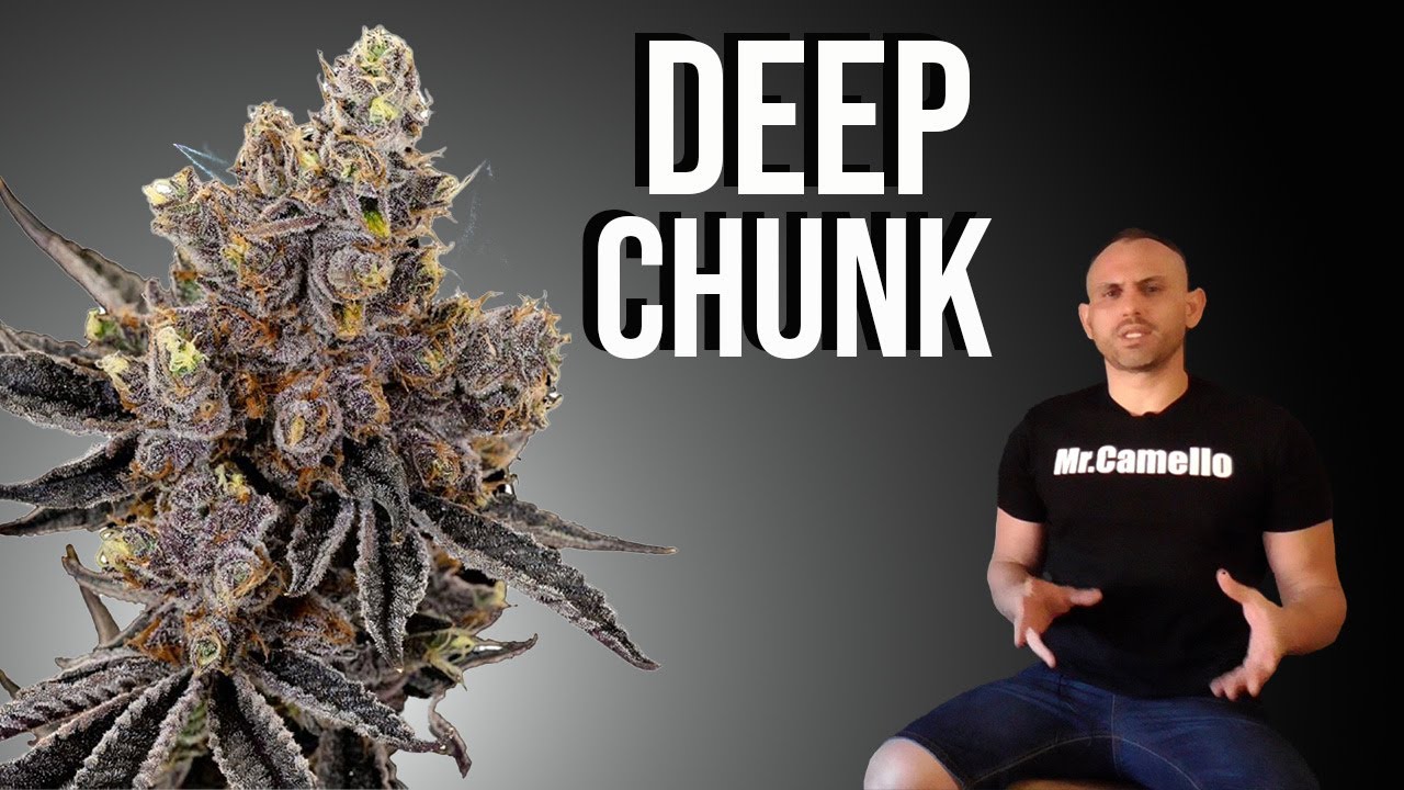 VARIEDAD de MARIHUANA: DEEP CHUNK - YouTube