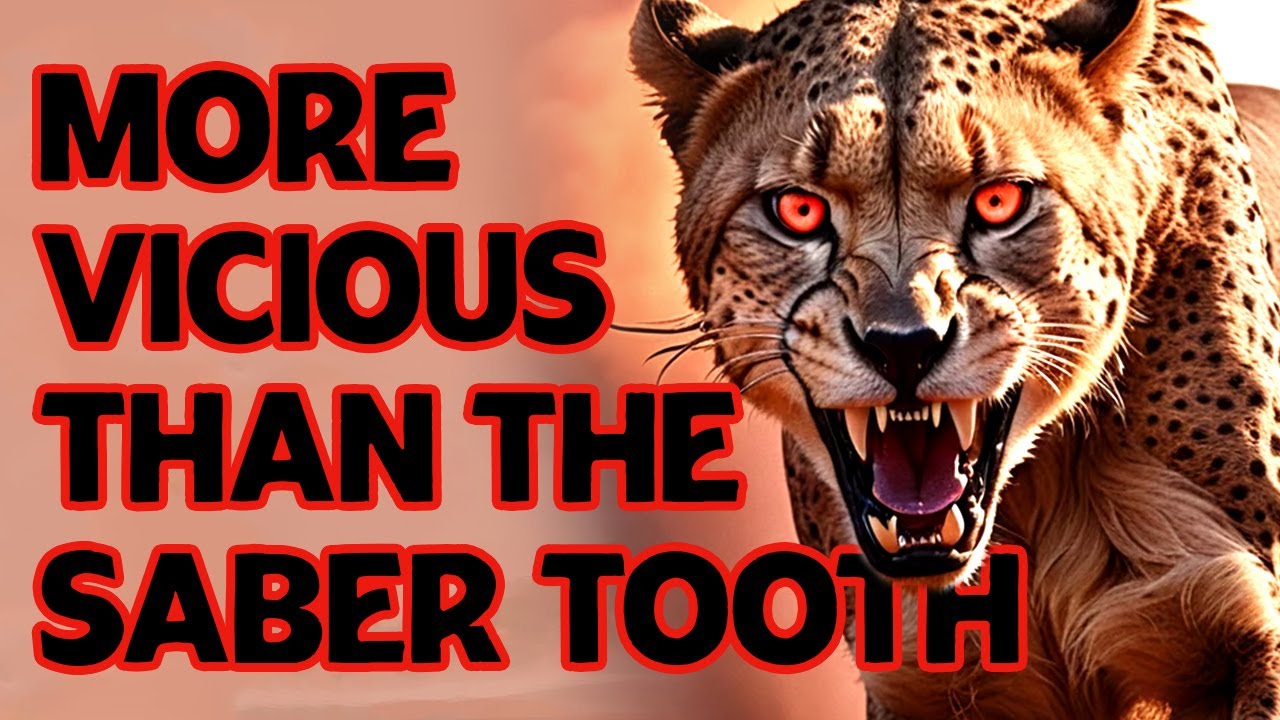 American Cheetah – The Saber Tooth Tigers’s Arch-Nemesis - YouTube