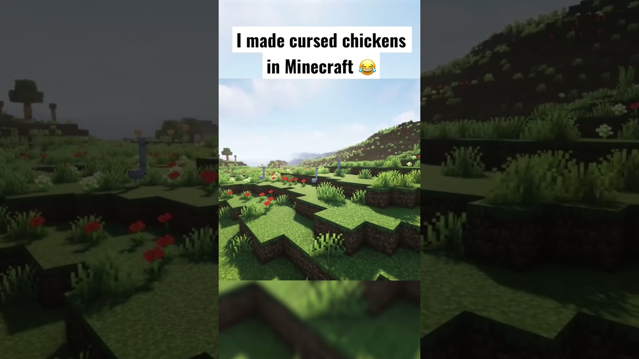 I made cursed chickens In Minecraft #shorts - YouTube