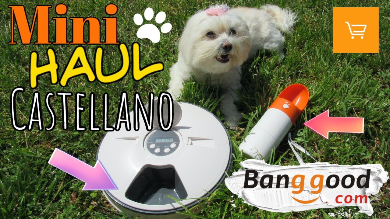 Mini Mini HAUL de mi Perro CUPON 🏷 Bebedero portátil, Comedero ...