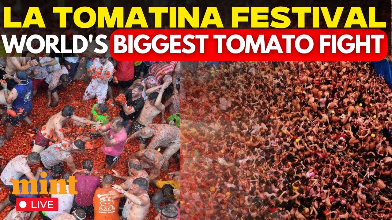 La Tomatina 2025 LIVE: World’s Biggest Tomato Fight in Bunol | Spain ...