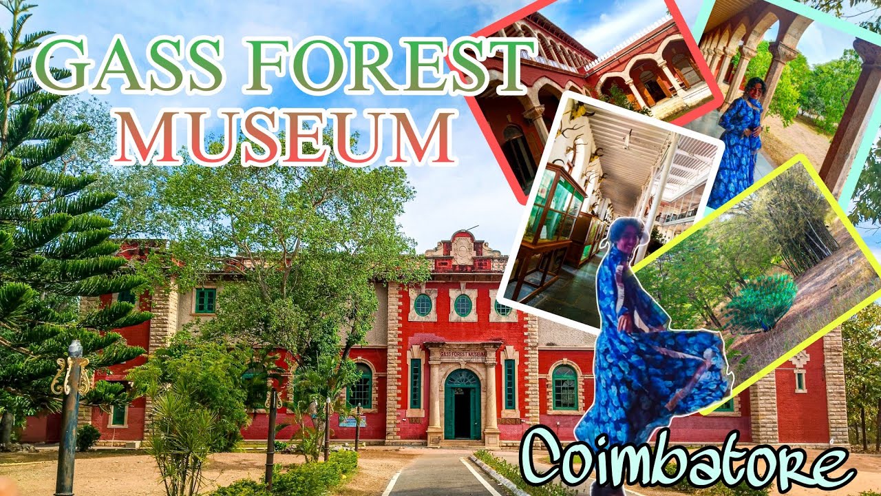 Coimbatore Forest Museum🐍 | Vlog | RubyMuba - YouTube