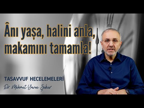 Hayatımız, hal ve makamdan ibaret bir süreçtir | Tasavvuf Hecelemeleri 10 | MEHMET YAVUZ ŞEKER