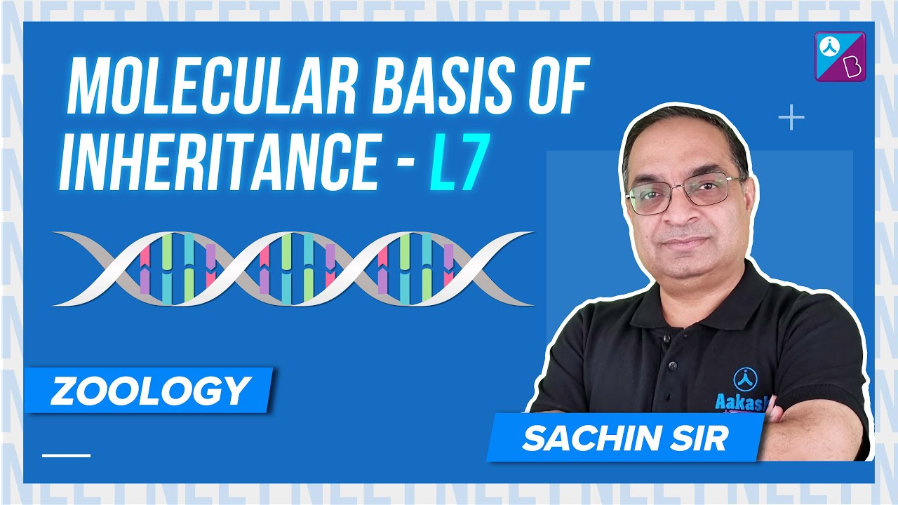 Translation (Pt 2) - Molecular Basis of Inheritance Class 12 Biology ...