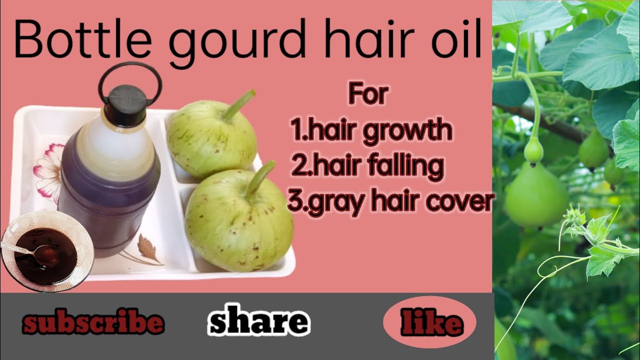bottle gourd hair oil/bottle gourd hair oil benefits/lauki oil good for ...