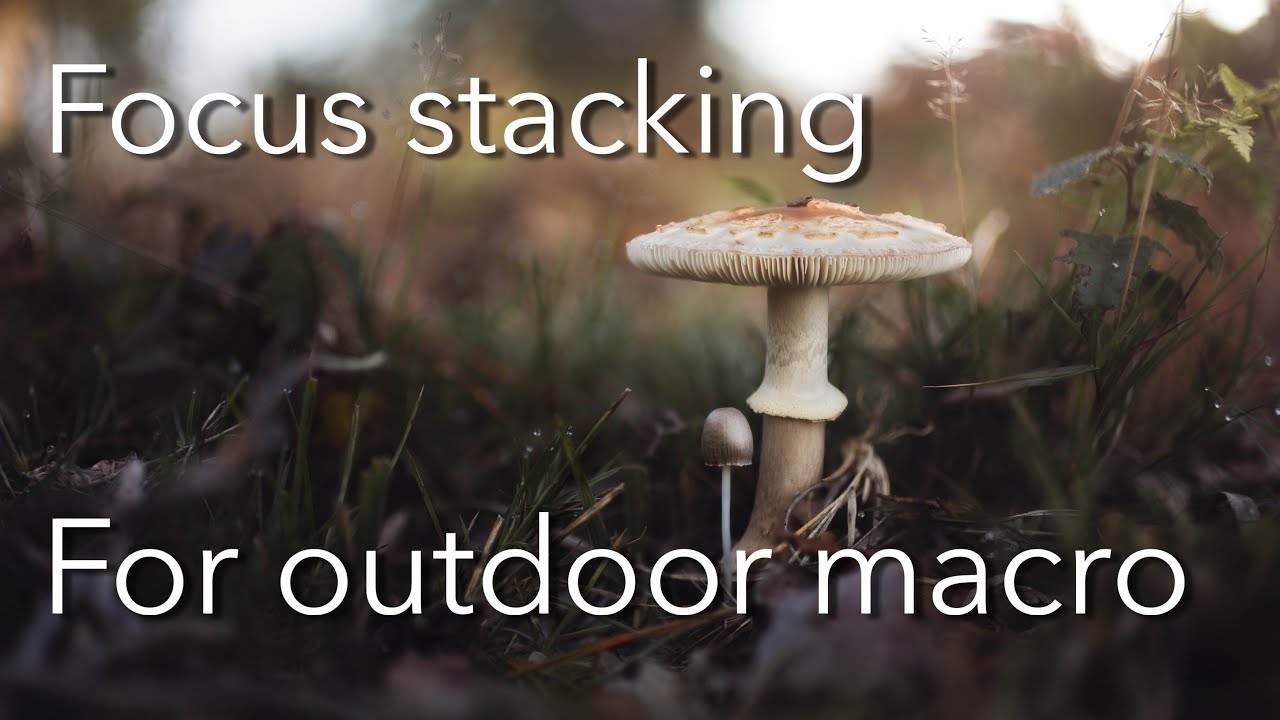 Macro focus stacking: Photoshop tutorial - YouTube