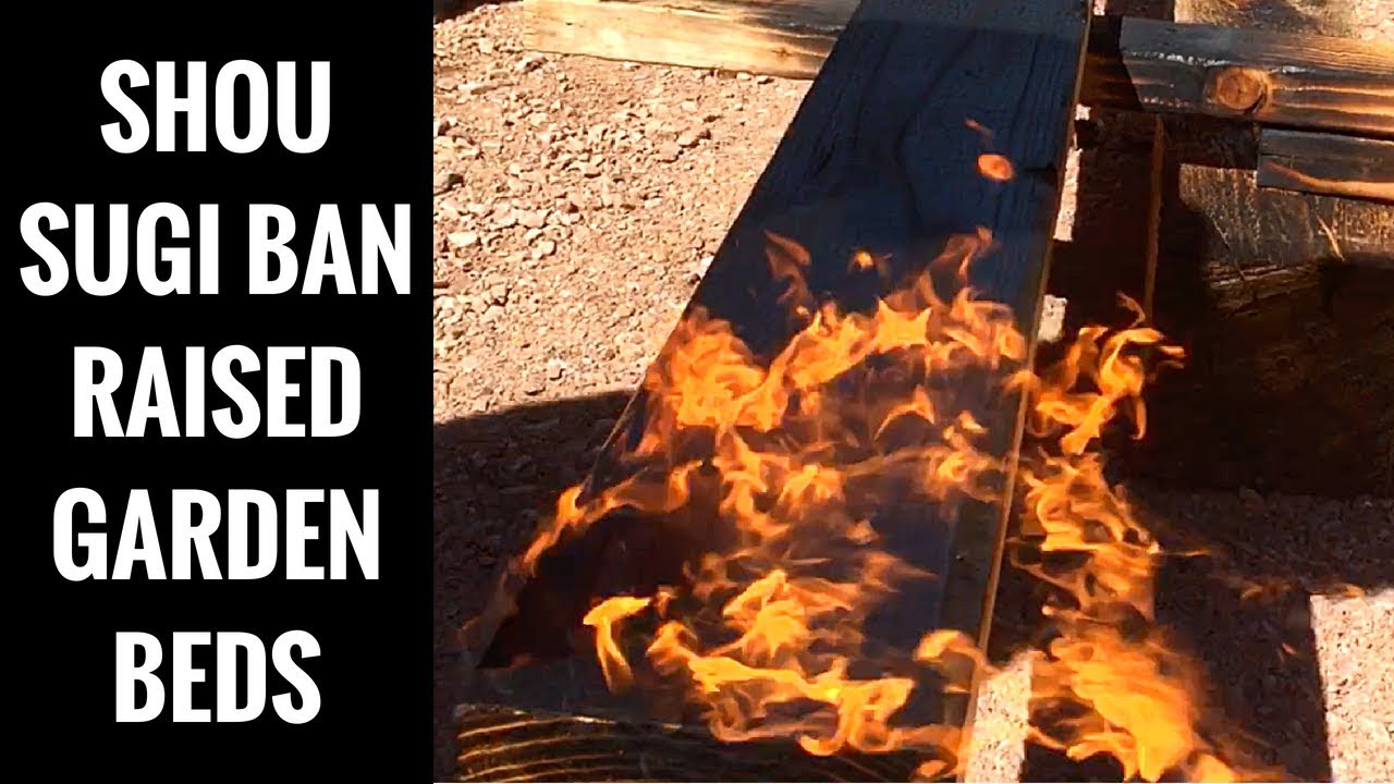 SHOU SUGI BAN RAISED GARDEN BEDS - YouTube