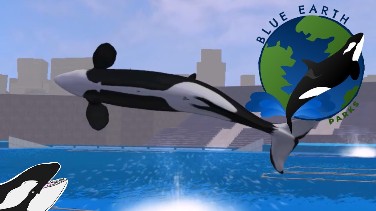 Orca Encounter Show!! -Blue Earth : La Palma- (Zoo Tycoon 2) - YouTube