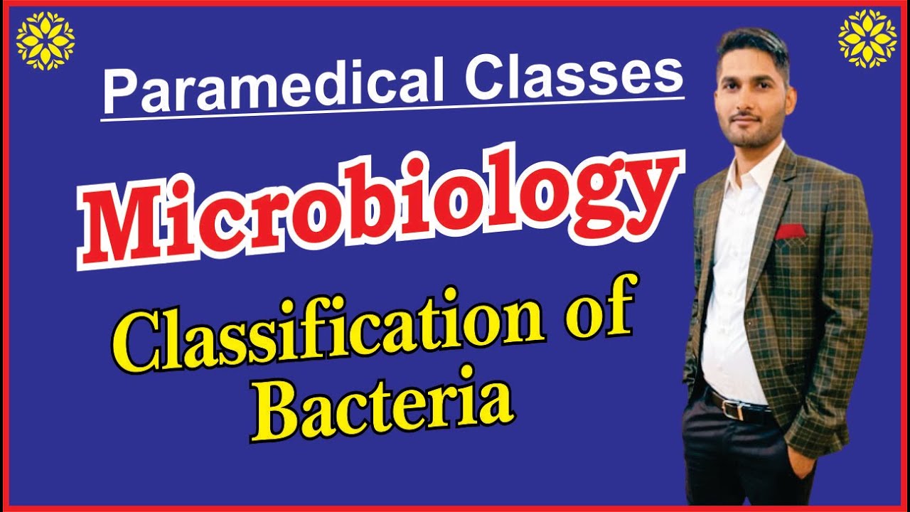 Morphology of Bacteria | Morphological Classification of Bacteria ...