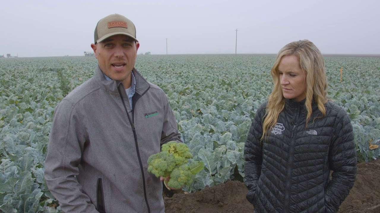 TF 2019 THE CROP CONNECTION WITH TAYLOR FARMS - YouTube