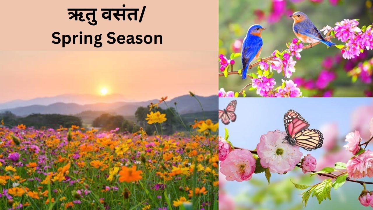कृष्णाच्या आवडत्या वसंत ऋतू विषयी माहिती/वसंत ऋतुला ऋतुराज का म्हंटलं ...