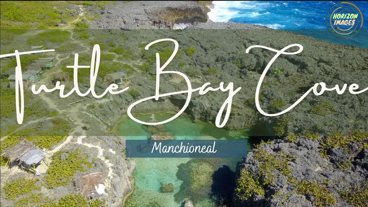 Exploring Hidden Gems in Jamaica- Turtle Bay Cove Beach in Manchioneal ...