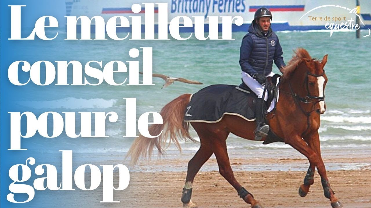 GALOP : Le meilleur conseil pour améliorer le galop - YouTube