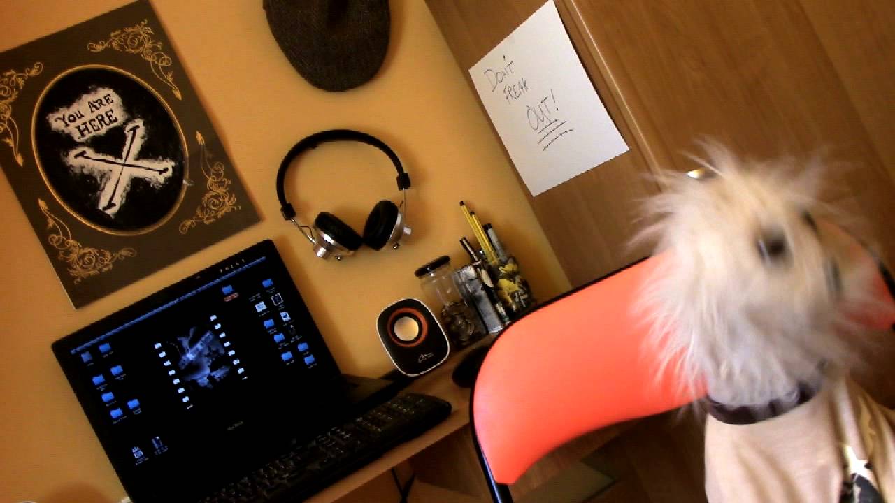 Desmond Shaggs Presents: BRAIN FIST (001) - YouTube