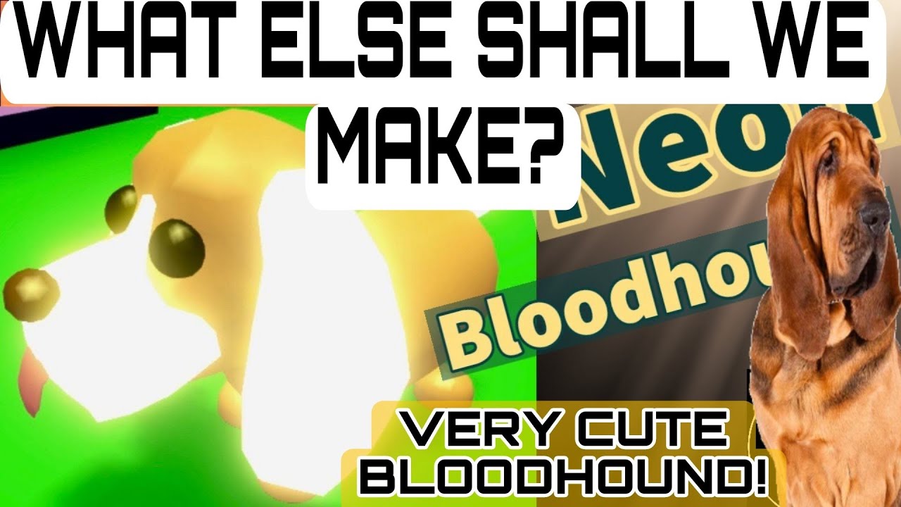 Making Neon Bloodhound! | Easy Going Nikku | May 21 2023 | Adopt me ...