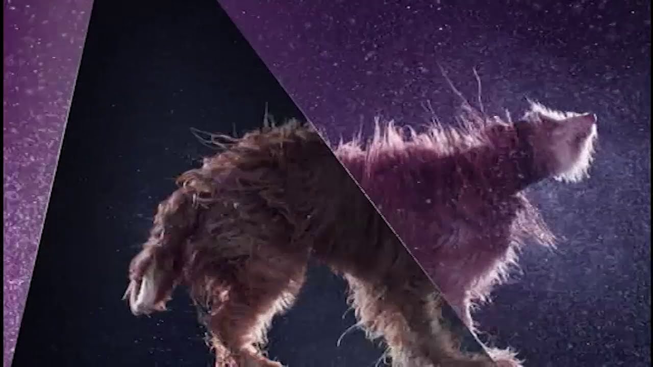 Every Pick ident that aired on Thursday 17th November 2022 - YouTube