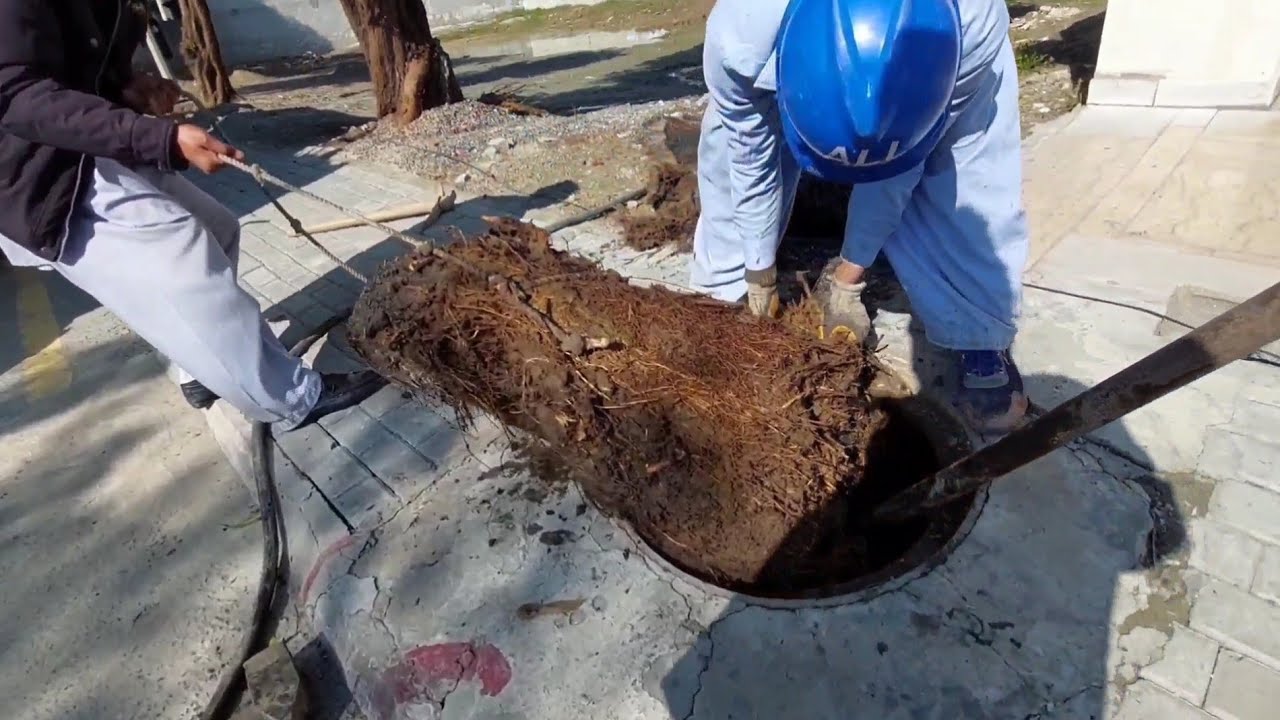 Drain Complaint 197 | Part 2 | Tie the giant roots with a rope and pull ...