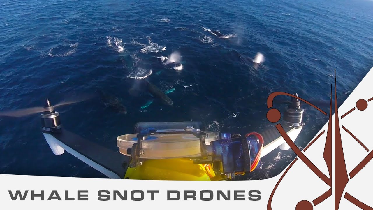 Whale snot drones - Discovery 2.03 - YouTube