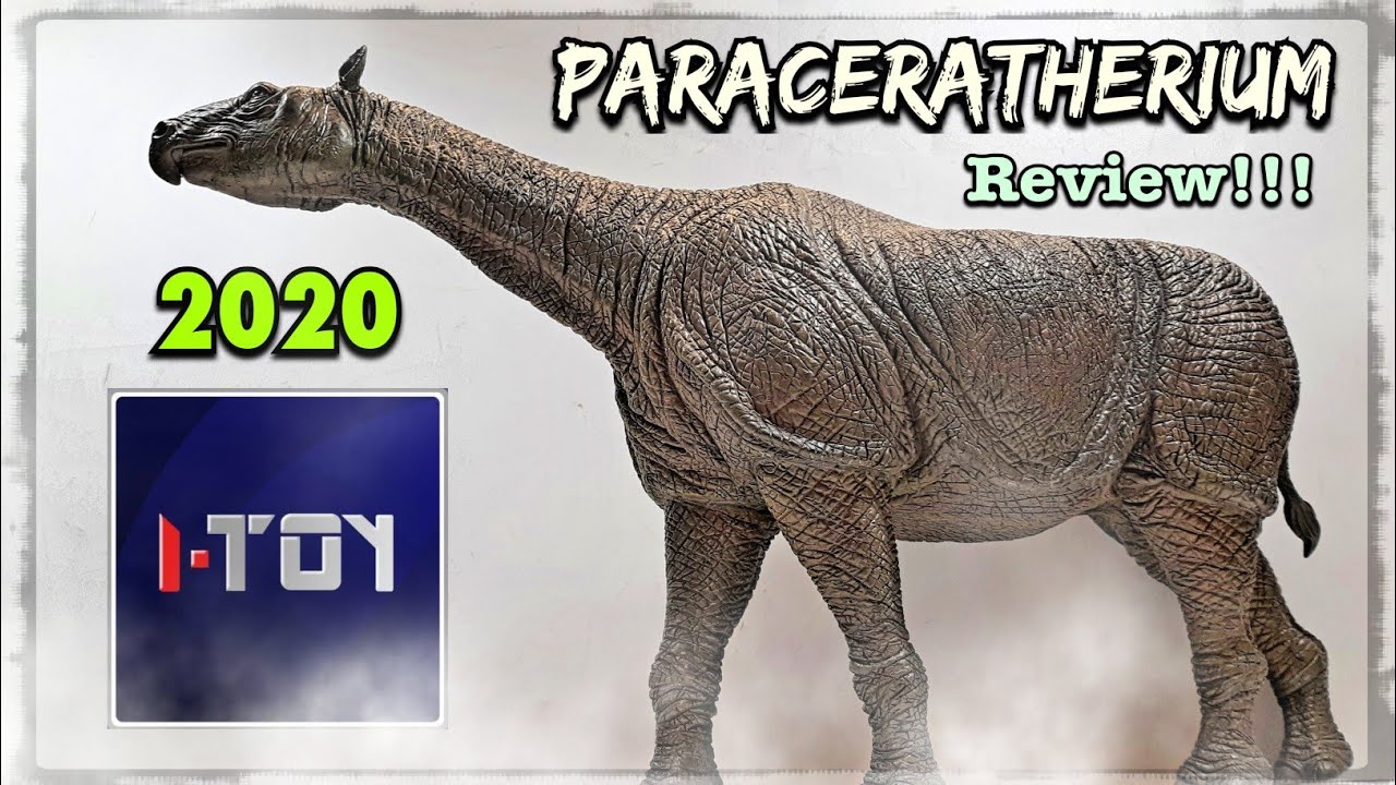 2020 I-Toy Paraceratherium Review!!! Best I-Toy figure yet!!! - YouTube