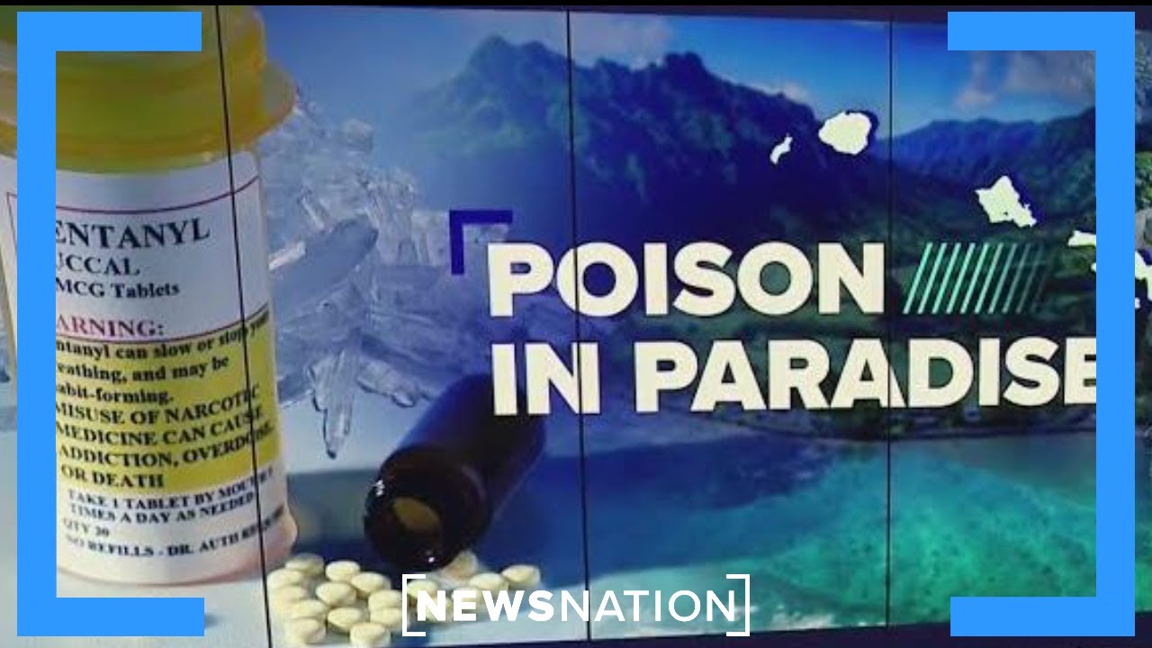 Cartels bringing meth, fentanyl into Hawaii: Report | NewsNation Prime ...