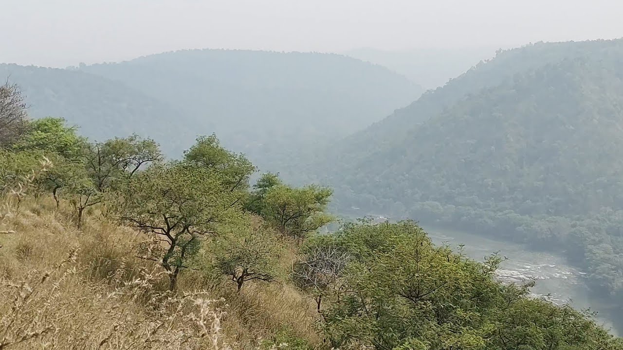 Shimsha River | ಶಿಂಷಾ ನದಿ | ಹಲಗೂರು - YouTube