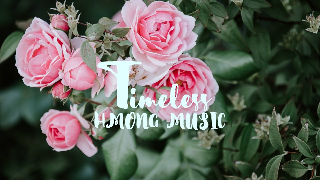 Luj Yaj - Paj Ntshua Nplaim Liab Chords - Chordify