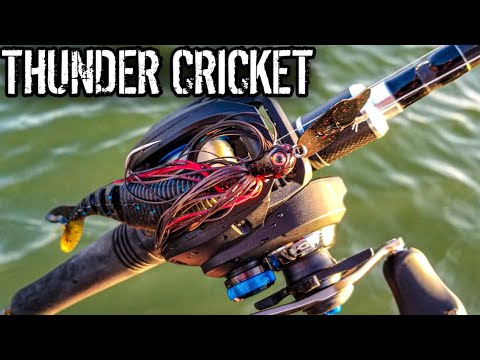 Bass Fishing with a Strike King Thunder Cricket (Better Than a ...