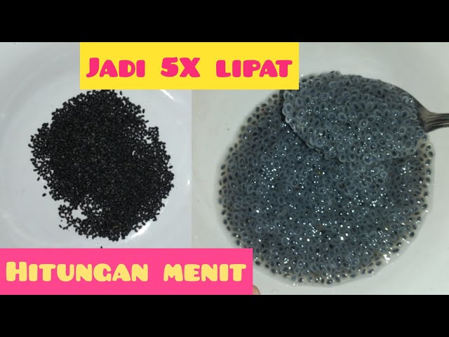 Rahasia Terungkap! Resep Air Selasih yang Menggugah Selera dan ...