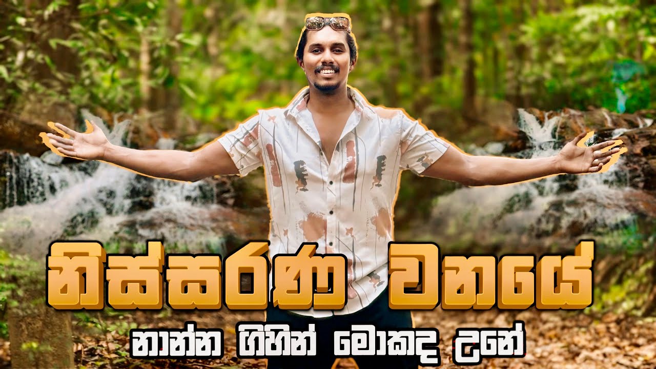 කොලඹ ඉදන් පැයකින් වගේ යන්න පුලුවන් පුංචි සිංහරාජ වනාන්තරේ😨Nissarana ...