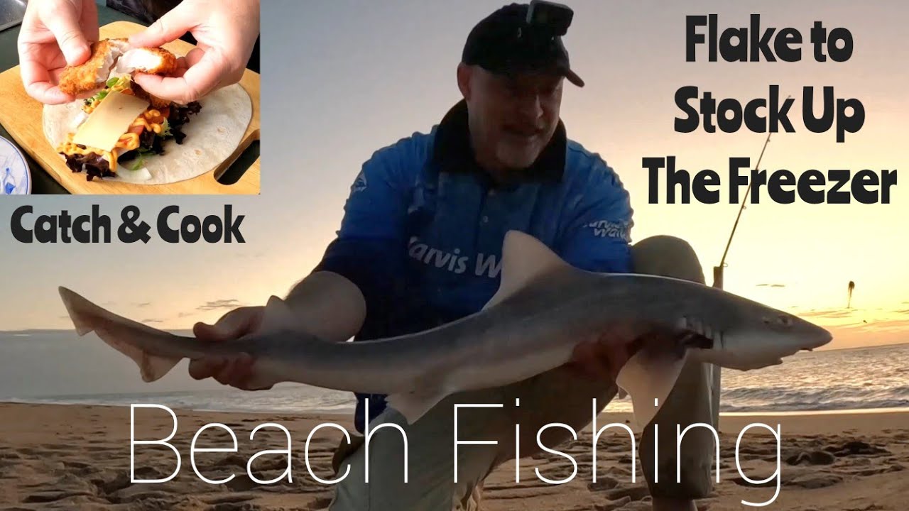 Beach Fishing For Food. Catch and Cook. ep167 - YouTube