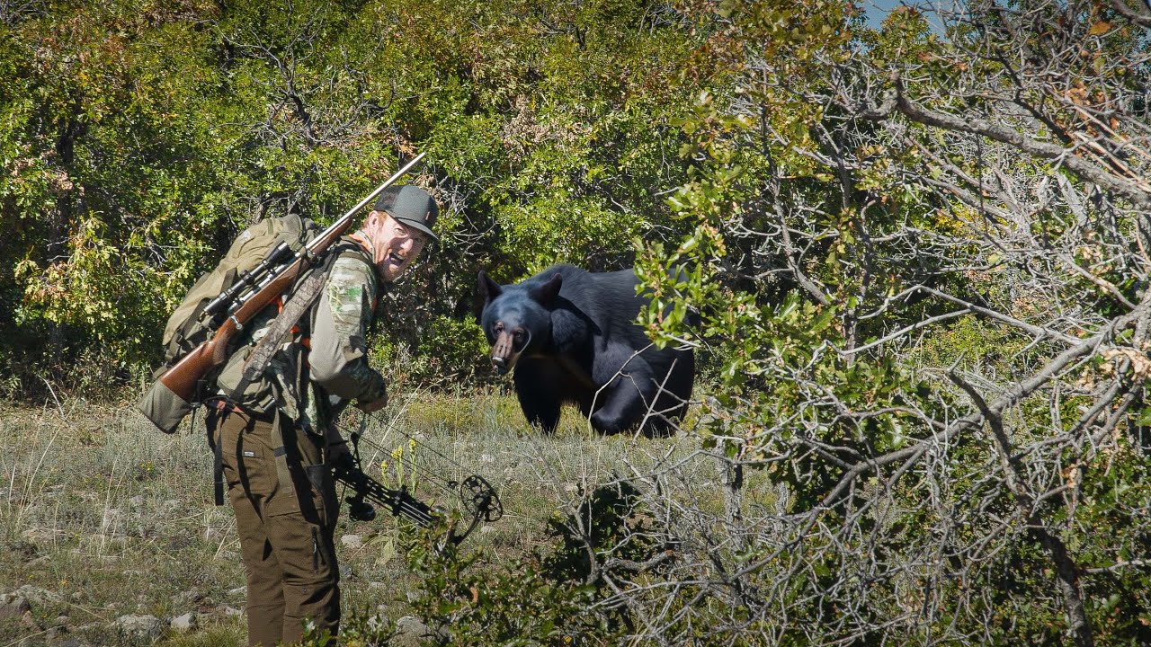 UP CLOSE AND PERSONAL - Colorado Black Bear Hunting - YouTube