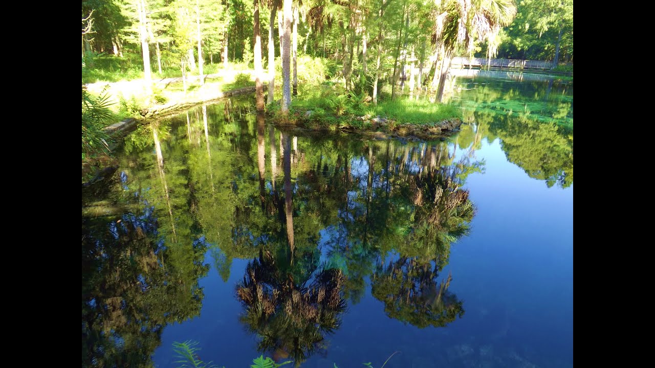 Crystal Springs in Pasco County Florida #268 - YouTube