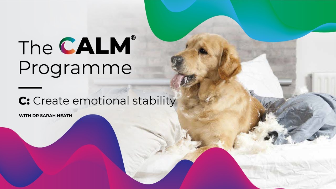 The CALM Programme C: Create Emotional Stability - YouTube