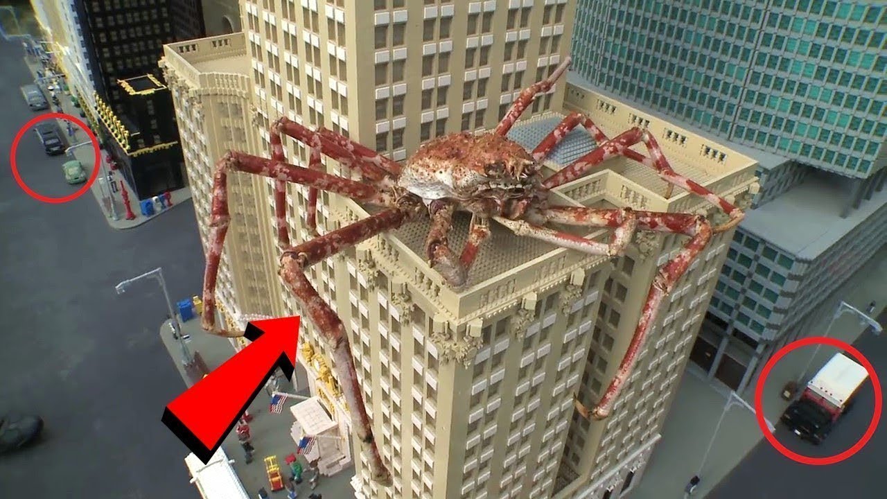 10 Rare & Beautiful Creatures - YouTube