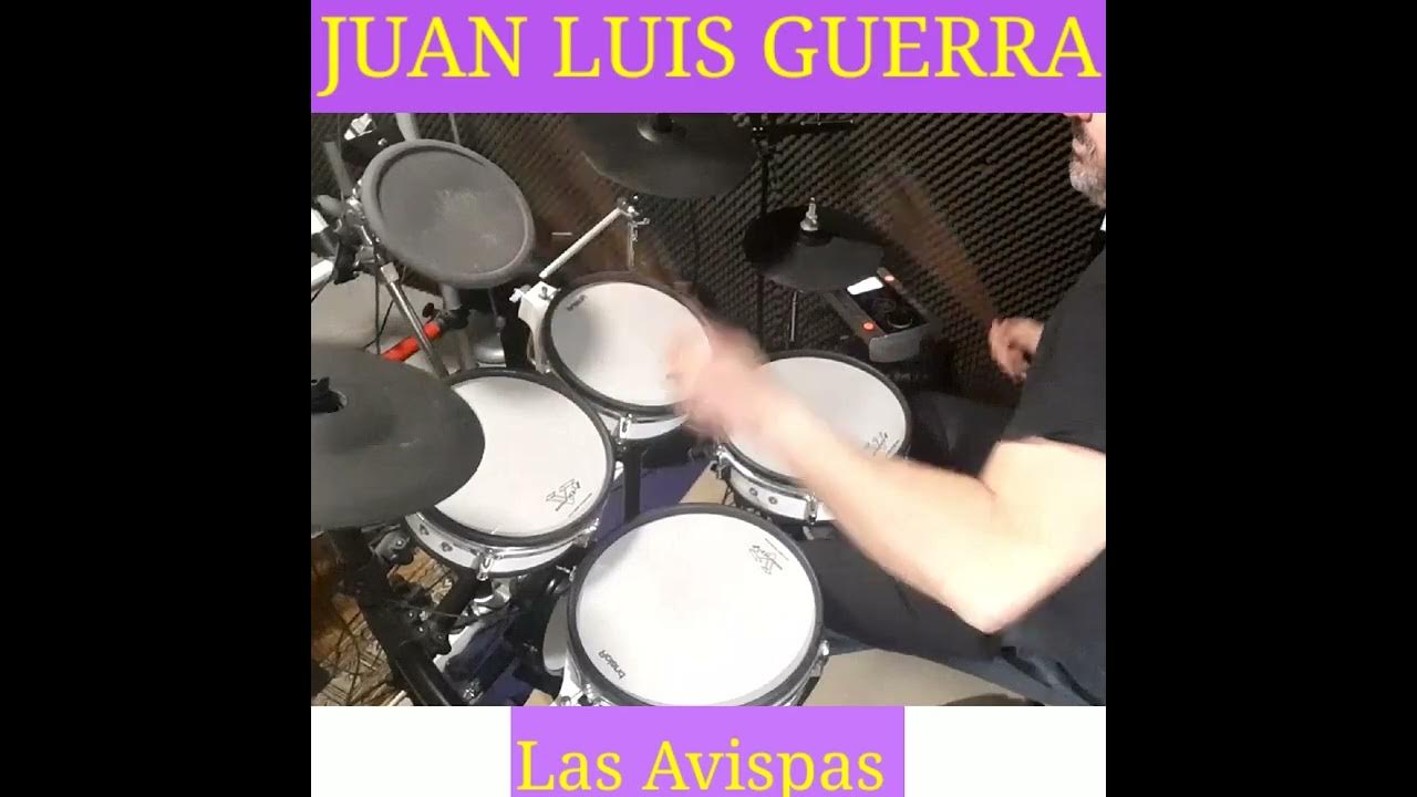 JUAN LUIS GUERRA. Las Avispas - YouTube