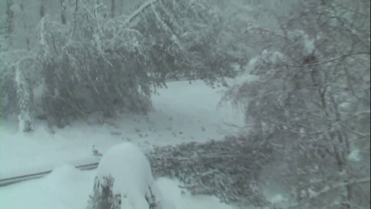 Snowmageddon Clip 1.wmv - YouTube