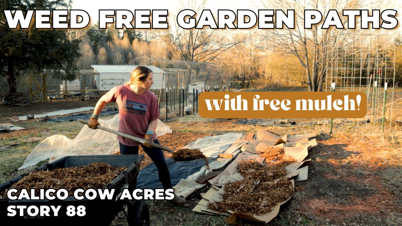 Making Weed-Free Garden Paths With FREE Mulch | Homestead Projects ...