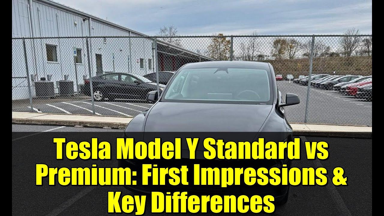 Tesla Model Y Standard vs Premium: First Impressions & Key Differences ...