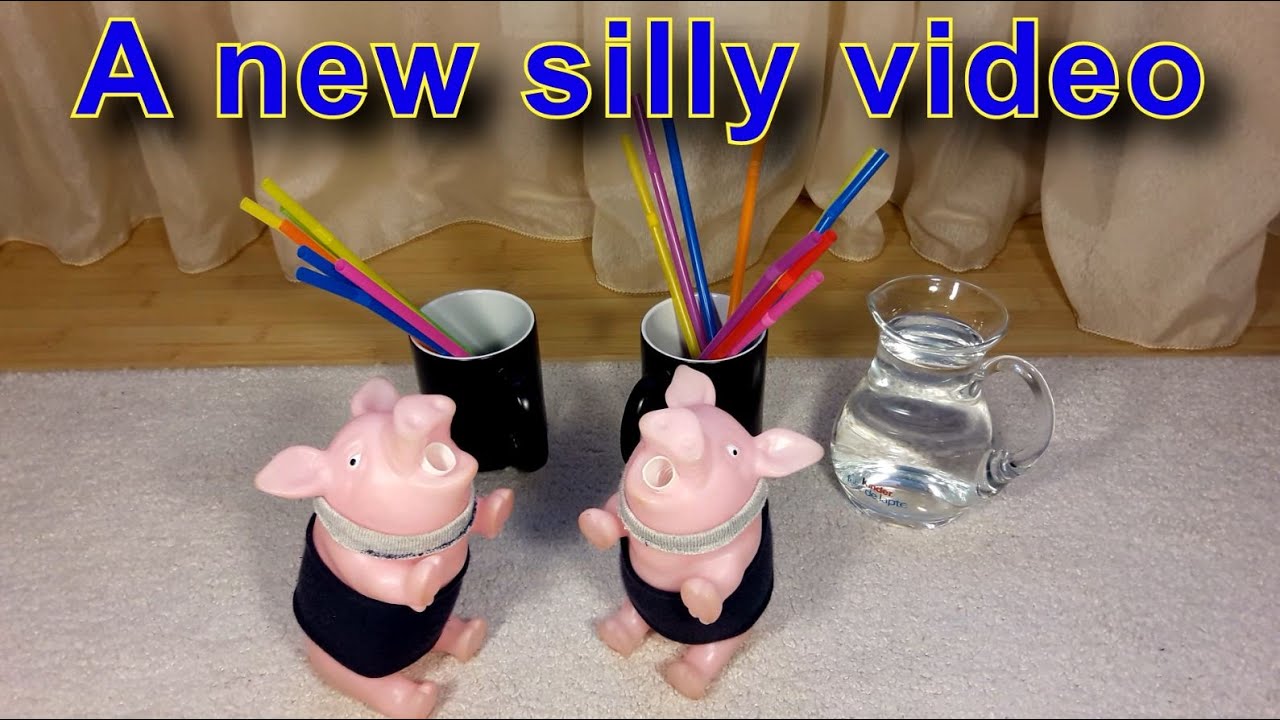 A new silly video by HAPPY PIGS - YouTube