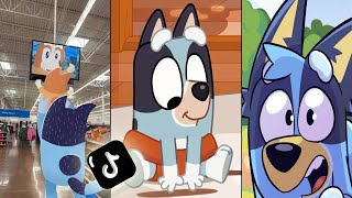 Bluey TikToks - Best Tiktok Compilation 2023 #74 | Doovi