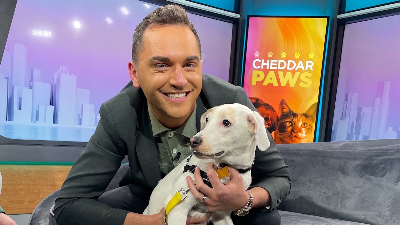 Baker Machado on Cheddar News (2017-2023) - YouTube