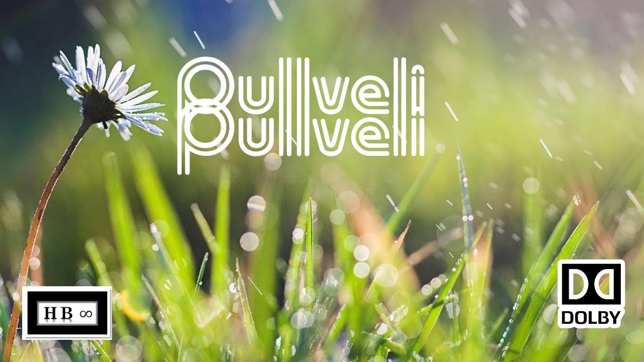 Pulveli Pulveli 🥀🌹🕊| Unni Krishnan | HBi Deva Song Dolby Treat ! - YouTube