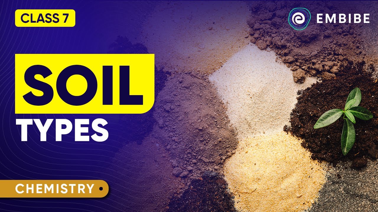 Soil Types | Chemistry | Class 7 | Embibe: Achieve Telangana Board ...