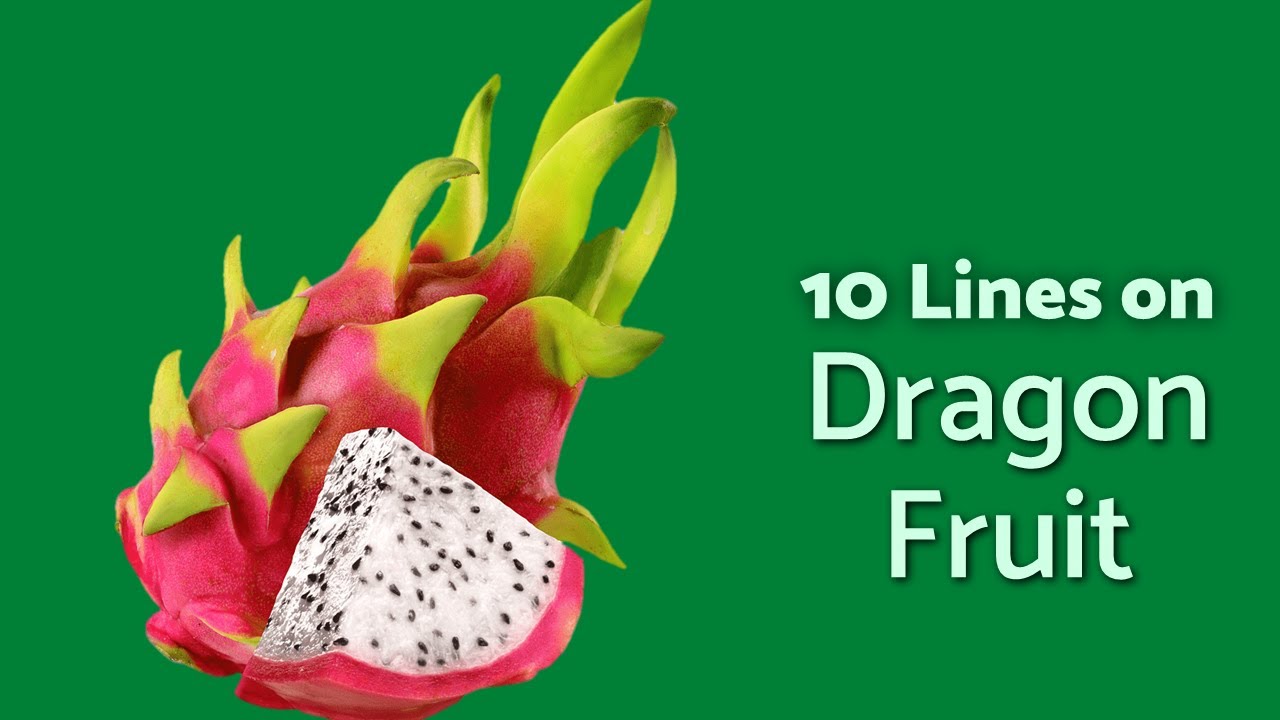 Dragon Fruit - 10 Lines on Dragon Fruit | TeachMeYT - YouTube