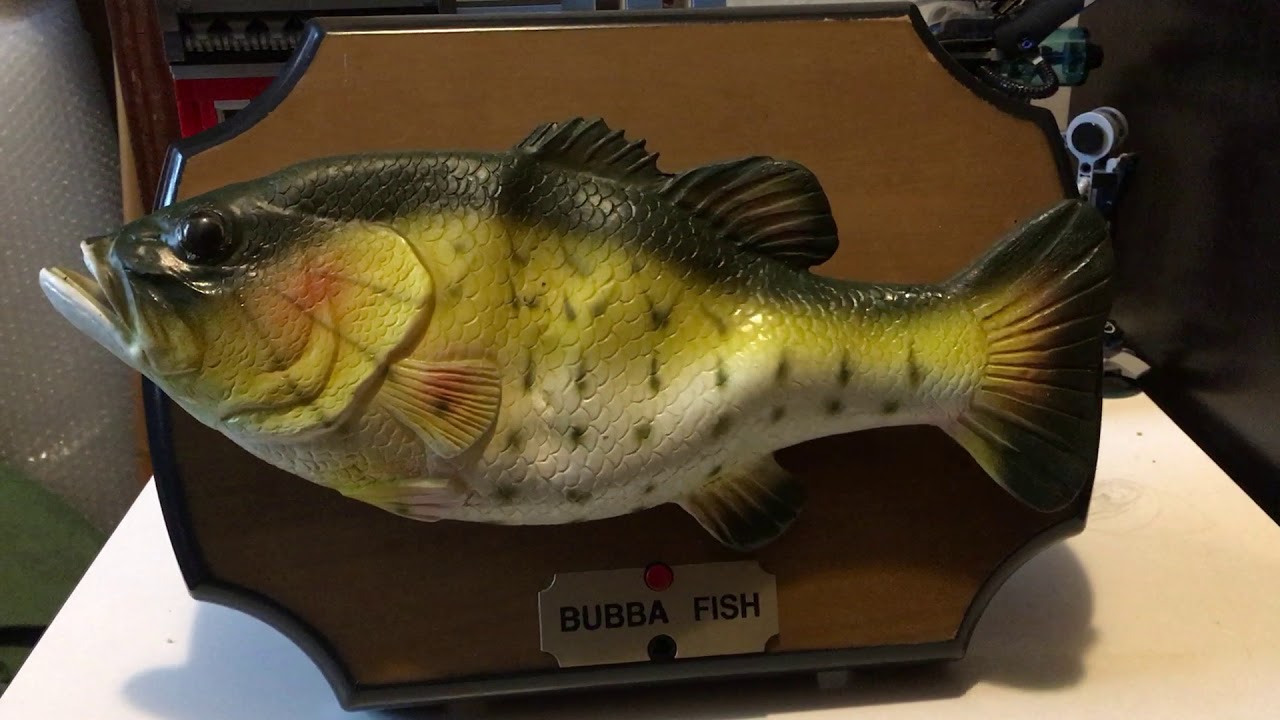 Rare Bubba Fish the Singing Sensation! - YouTube
