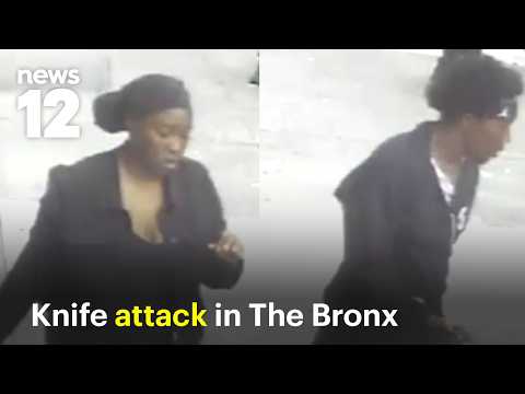 Man critically injured in Bronx stabbing attack; 2 suspects on the run