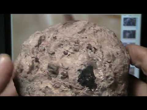 Mudfossil U part 10.. Geodes - YouTube