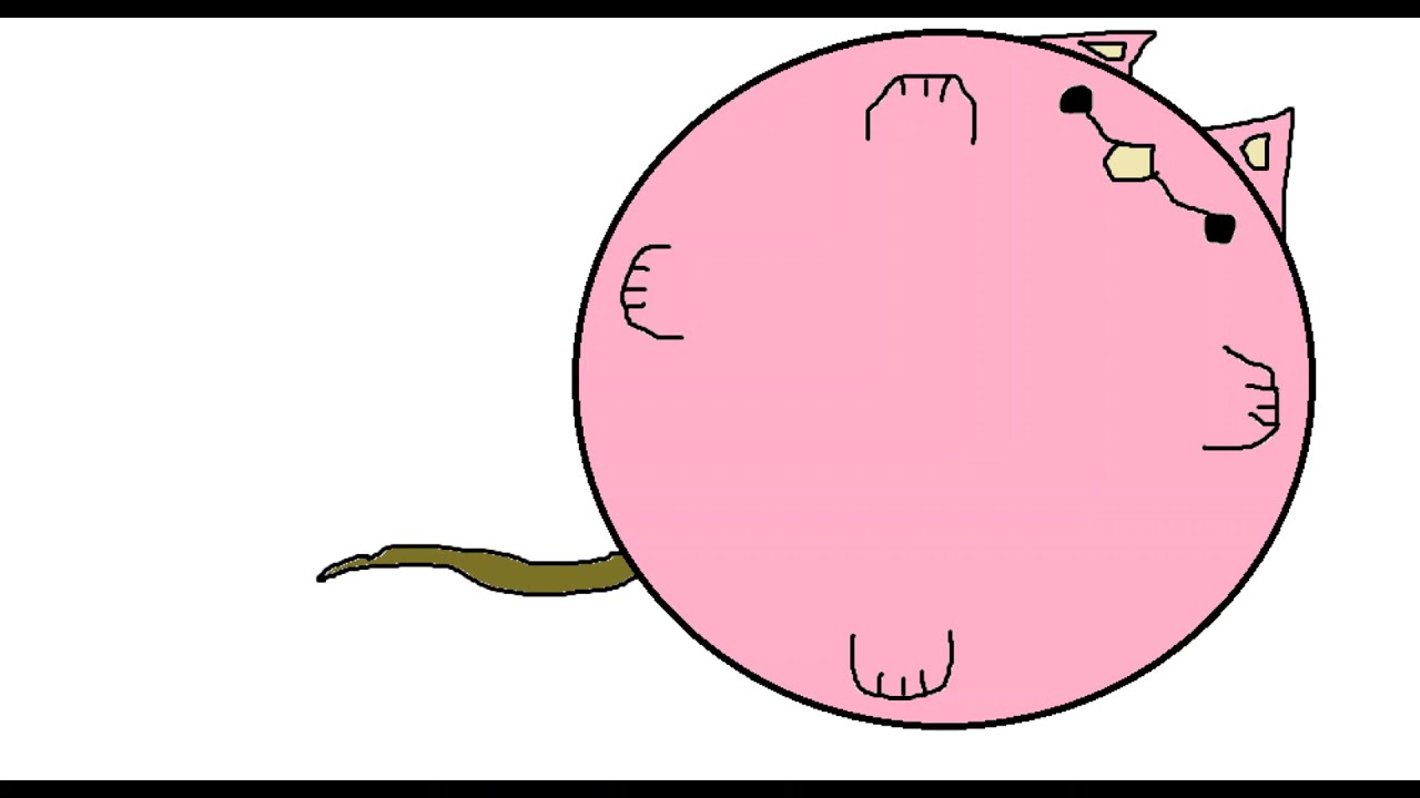 Gerald The Cat - YouTube