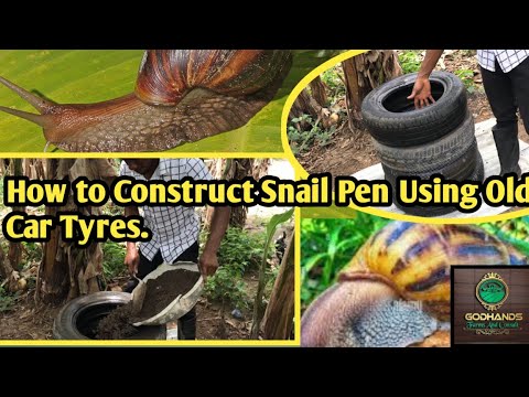 HOW TO CONSTRUCT A SNAIL PEN USING OLD CAR TYRES. [step-by-step guide ...